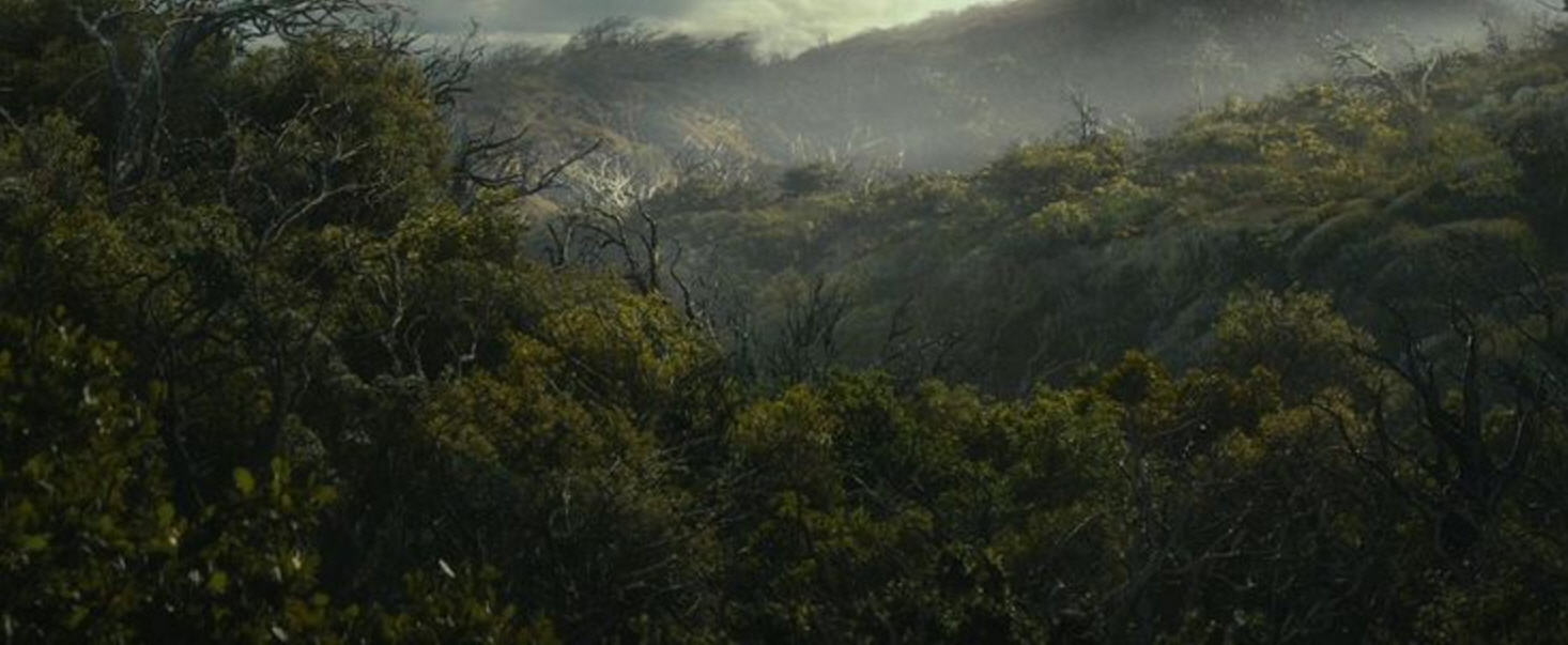 Mirkwood | Wandering Noldo